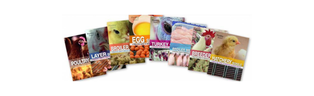 Check out the poultry themes | Poultry signals